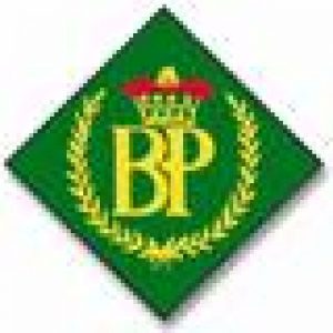 Peak Awards In Scouting - 15th Essendon Sea Scouts